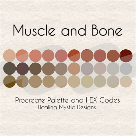 Muscle And Bone Procreate Palette Procreate Color Palette Procreate Colors Procreate Swatch