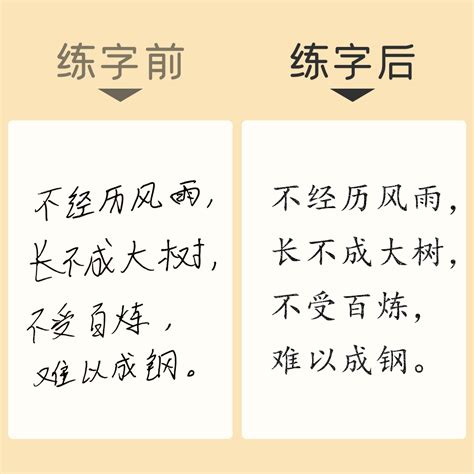 正姿控笔训练字帖小学生套装练字本运笔笔控神器偏旁部首基础楷书笔画硬笔书法笔顺速成21天儿童一年级入门幼儿园成年初学者练习本 虎窝淘