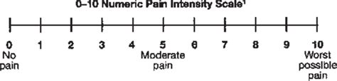 Representing Verbal Numerical Rating Scale Download Scientific Diagram