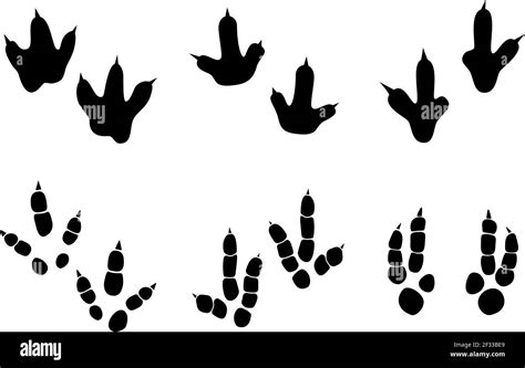 Dinosaur Footprint Tracks Vector Set Illustration Background With Paw