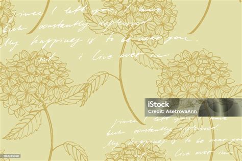 ヴィンテージスタイルのアジサイグラフィックイラスト白い背景に線画で描くとスケッチ花植物のイラスト手書きの抽象テキスト アジサイ属のベクター