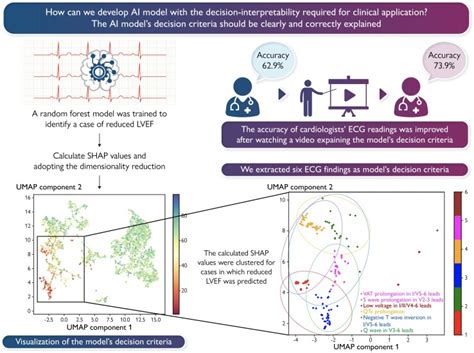 An Explainable Artificial Intelligence Enabled Electrocardiogram Analysis Model For The