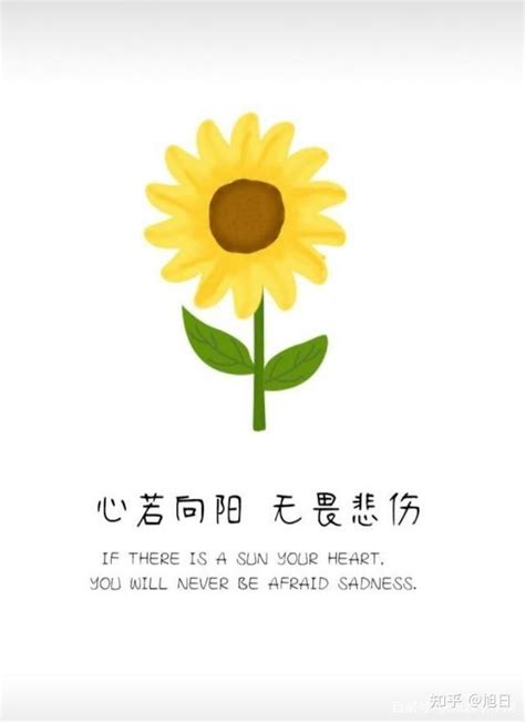 人与人最舒服的关系有话直说 知乎