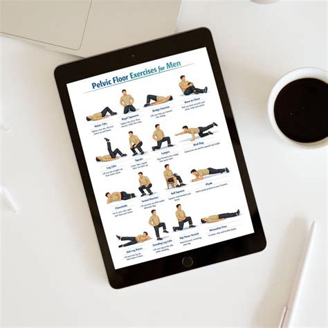 Printable Pelvic Floor Exercises For Men Pelvic Floor Workout Chart