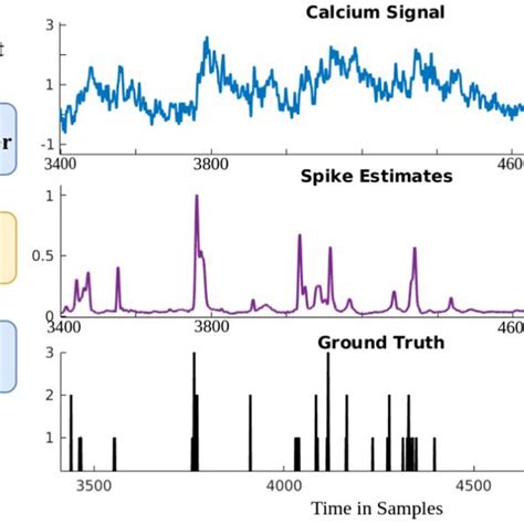 Signal To Signal Neural Network S2s Left Block Diagram Of The Download Scientific Diagram