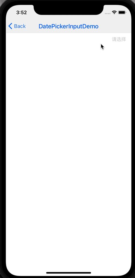 DatePickerItem 日期列表表单输入 雷数前端