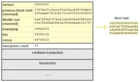 Bitcoin Algorithm Explained Mycryptopedia