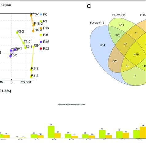 Transcriptome Analysis Of The Liver In Six Periods During Im A Pca