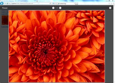 Using Greybox Popup Window In Asp Net Codeproject