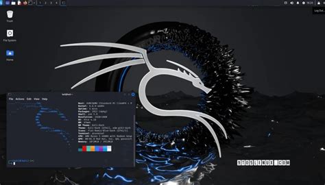 Kali Linux 2024 1 带有 Linux 6 6 LTS 和新外观的渗透测试发行版来了 Linuxeden开源社区
