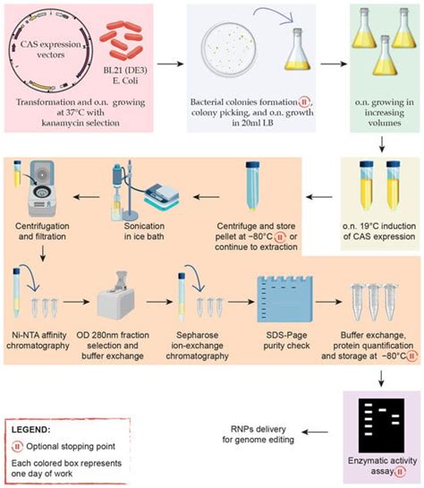 Methods And Protocols An Open Access Journal From Mdpi