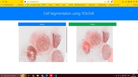 cell segmentation using yolov8