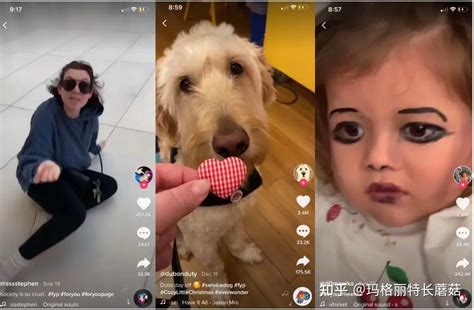 新人现在做tiktok是否还来的及？要做哪种类型呢？ 知乎