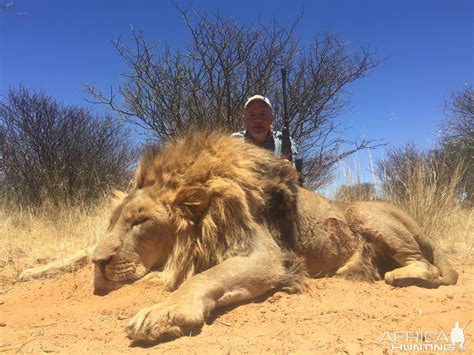 Lion Hunt South Africa