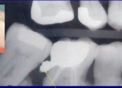 Matrix Flashcards Quizlet