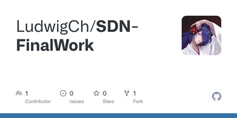 GitHub LudwigCh SDN FinalWork