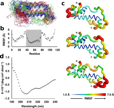 Structural And Functional Characterization Of A Putative De Novo Gene