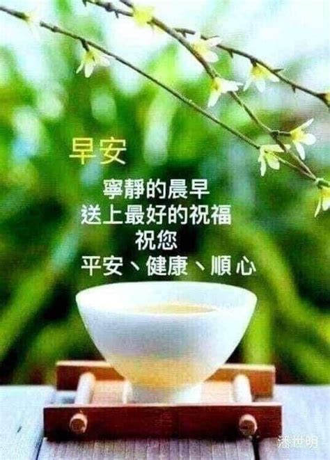 Pin By Hanson Phuah On 早安 茶 Good Morning Roses Morning Greetings