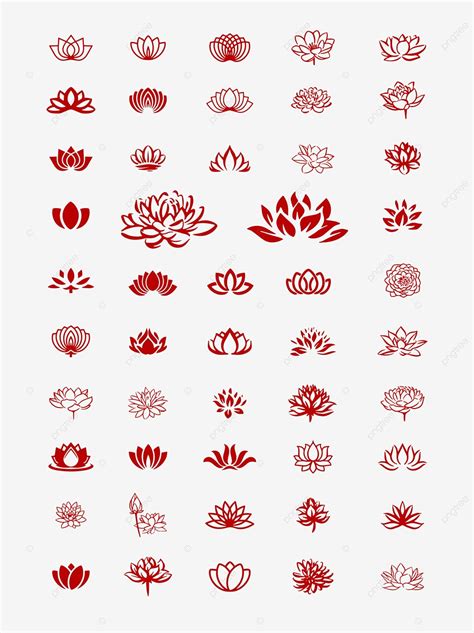 Lotus Pattern Vector