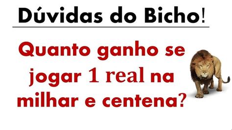 Acertei Centena Os 3 Primeiros Numeros Jogo Do Bicho Jogo Do Bicho