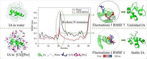 基于分子动力学模拟研究门冬胰岛素在氨基乙酸胆碱水溶液中的结构稳定性 Journal of Molecular Liquids X MOL
