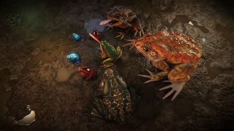 LEAKED GAME ASSETS Frogs Pack