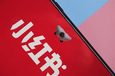 小红书组织架构调整：社区和电商业务合并 蓝鲸财经