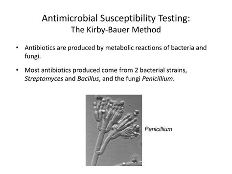 Ppt Lab 8 Approach To Identification Api System And Antimicrobial Susceptibility Testing