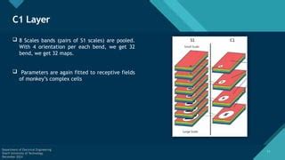 Robust Object Recognition With Cortex Like Mechanisms PPTX