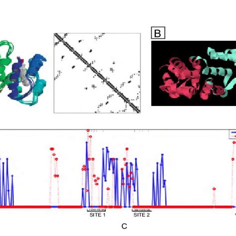 Protein Topology And Modularitys Download Scientific Diagram