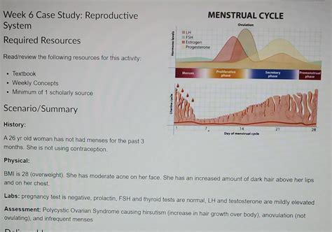 Solved MENSTRUAL CYCLE Ovulation Week Case Study Chegg Com