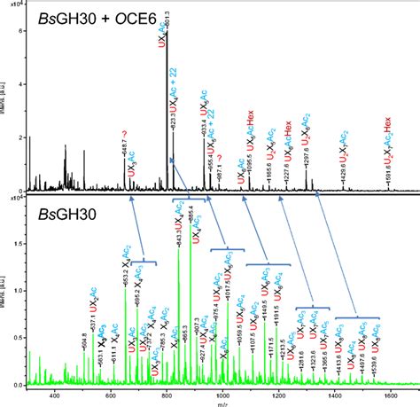 Maldi Tof Ms Analysis Of Oligosaccharides Released From Milled