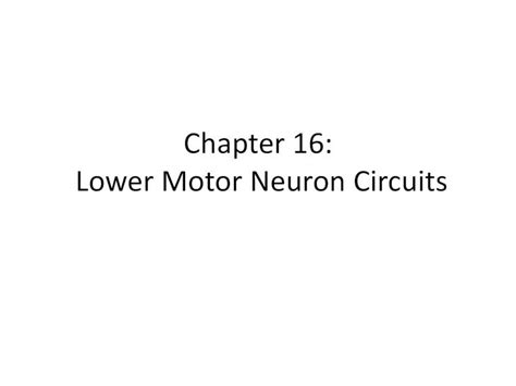 Pdf Chapter 16 Lower Motor Neuron Circuits Dokumentips