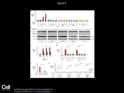 Volume 138 Issue 3 Pages August 2009 Ppt Download