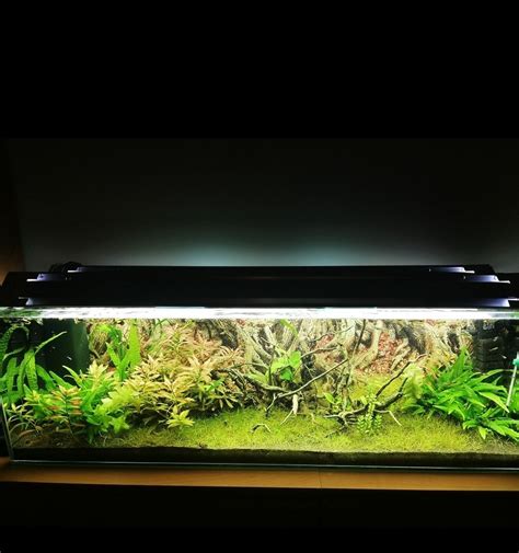 Lampa belka led do akwarium roślinne Kraków Prądnik Biały OLX pl