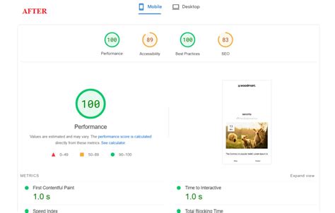core web vitals and pagespeed booster wordpress plugin