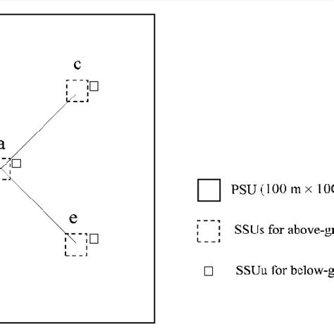 The Primary Sampling Unit Psu And Secondary Sampling Units Ssus Download Scientific Diagram