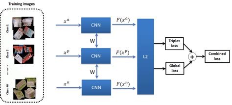 A Triplet Network With A Global Loss The Figure Is Adopted From 1