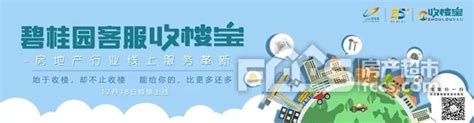 碧桂园收楼宝上线 破解业主收楼烦恼
