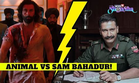 Ranbir Kapoors Animal Leads In Advance Booking Vicky Kaushals Sam