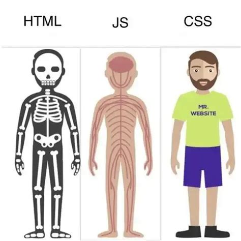 Html Css E Javascript Caroline Malveira Html Css Javascript Dio