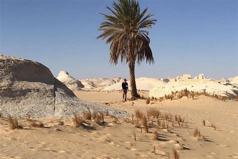Day Tour To Suez City From Cairo Egypt Address Phone Number