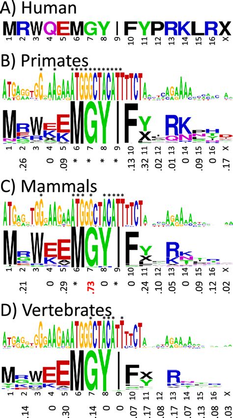 synonymous codon bias in mots c a mots c sequence in humans