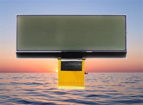12232 Dots Monochrome Lcd Display Cog Lcm Graphic Lcd Module Lcd Panel And Lcd Screen Price