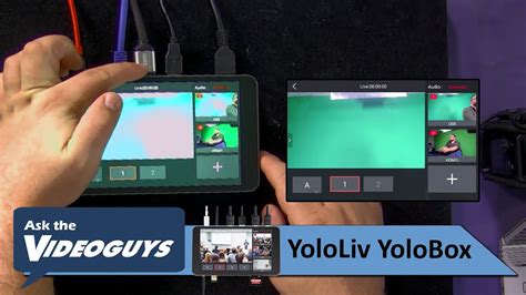 Yolobit Webm