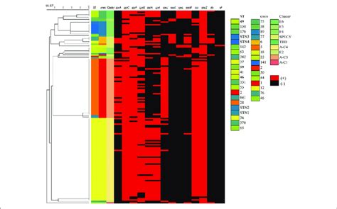 Dendrogram Constructed From The Multilocus Sequence Typing Mlst