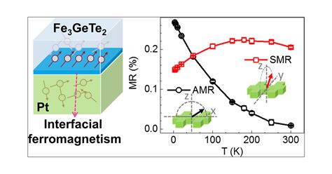 Proximity Induced Interfacial Room Temperature Ferromagnetism In