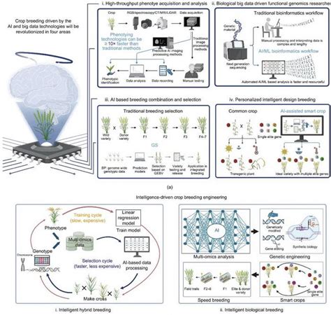 Revolutionizing Crop Breeding The Impact Of Next Generation Ai And Big