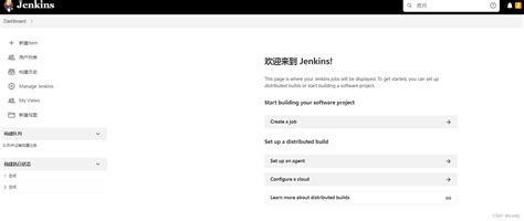 Linux安装jenkinsjenkins 2350 11noarchrpm 下载 Csdn博客