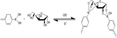 Reaction Of The Boric And Water Download Scientific Diagram